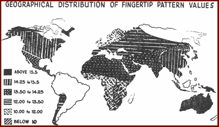 FINGERPRINTS WORLD MAP Global Distribution Of Whorls Loops Arches 